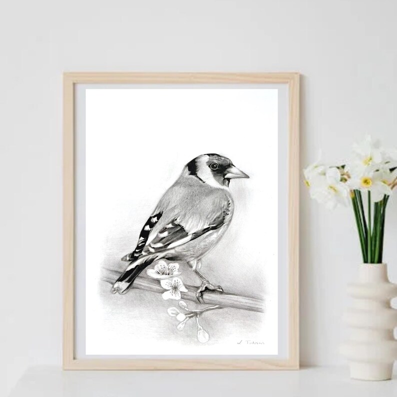 Original Finch Drawing, Finch Pencil Drawing, Finch Picture, Finch Fine ...