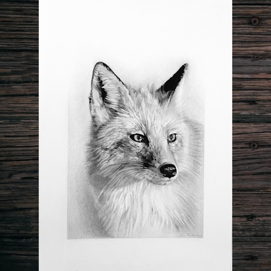 Original Fox Drawing, Fox Pencil Drawing, Fox Picture, Fox Fine Art,big ...