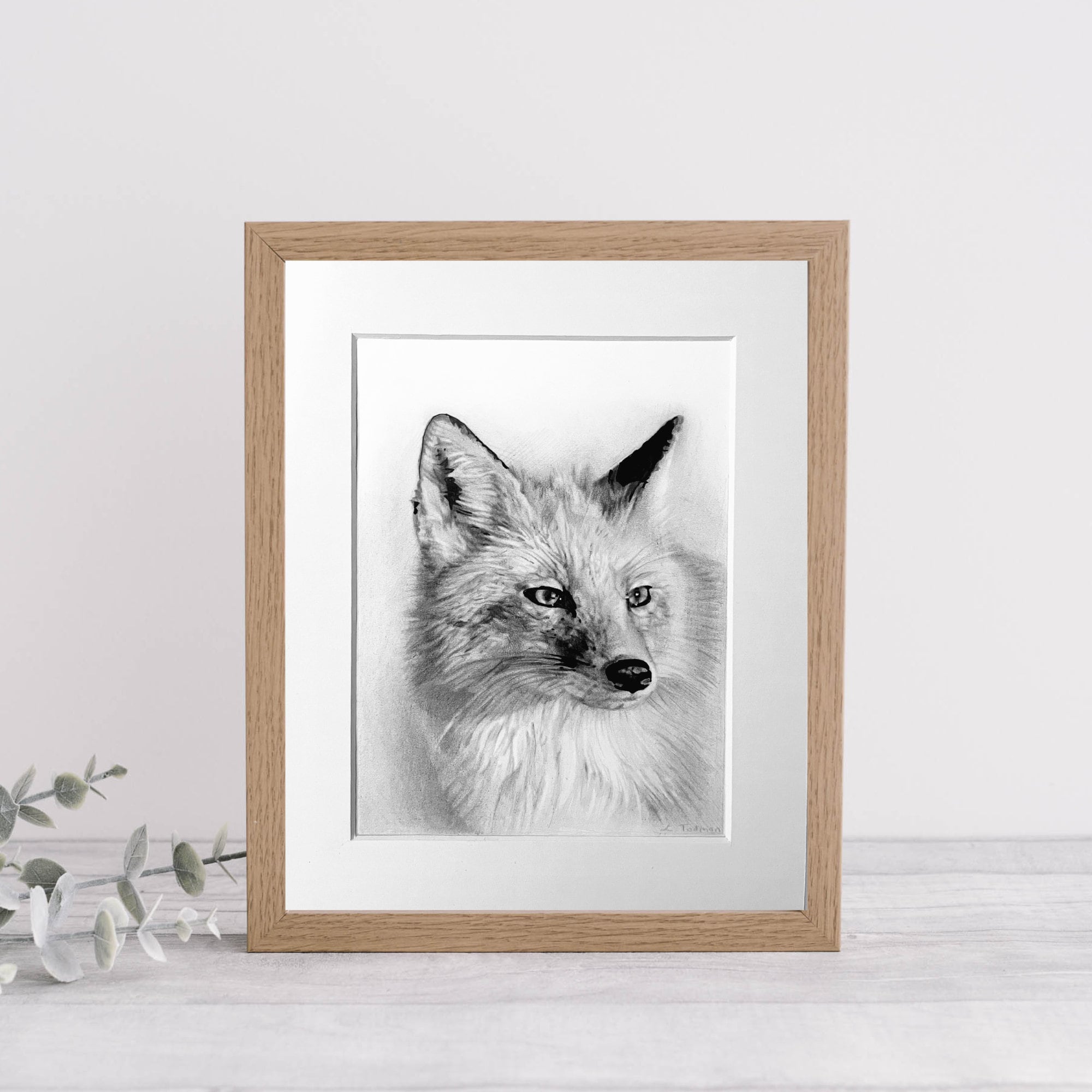 Original Fox Drawing, Fox Pencil Drawing, Fox Picture, Fox Fine Art,big ...
