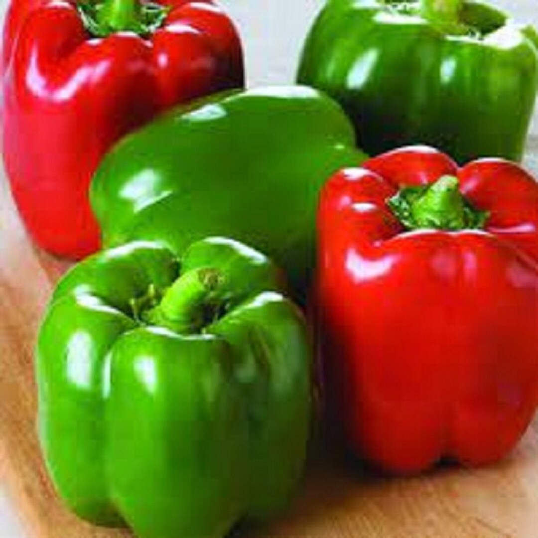 Giant Keystone Sweet Bell Pepper Seeds- Heirloom-combined Shipping ...