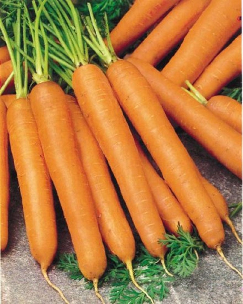 1000+ Heirloom Vegetable Seeds - 8 Variety Garden Pack #12 Organic ...