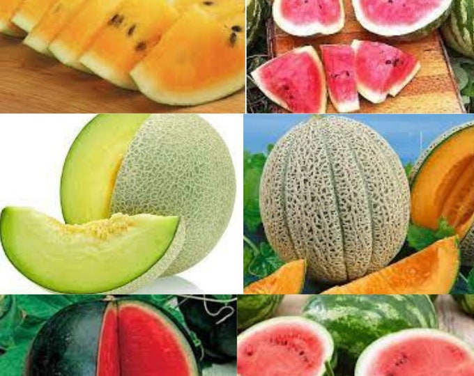 Ultimate Melon Collection - 125+ Melon Seeds -heirloom All Canadian ...