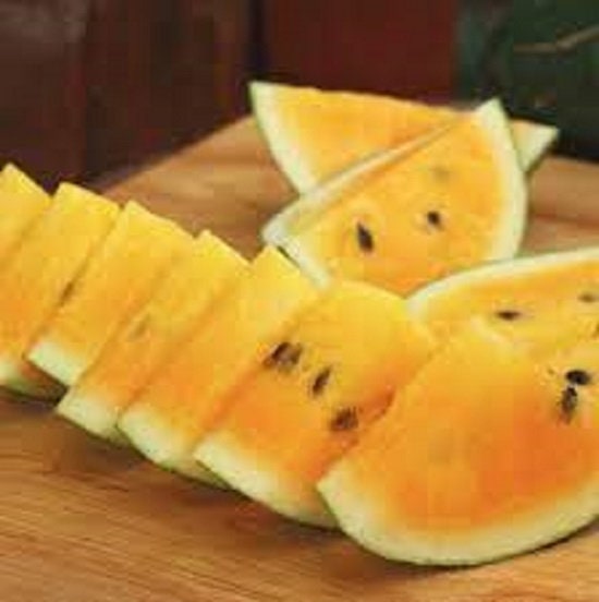 Ultimate Melon Collection - 125+ Melon Seeds -heirloom All Canadian ...