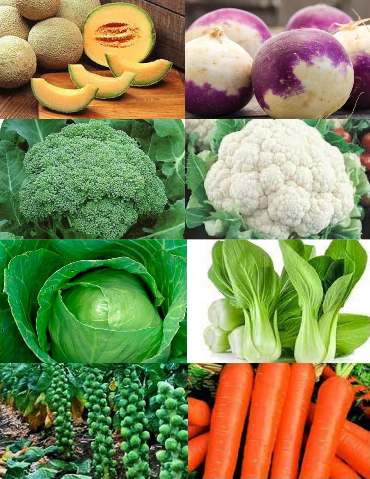 1000+ Heirloom Vegetable Seeds - 8 Variety Garden Pack #1- Organic ...