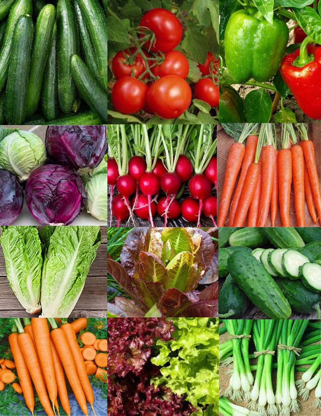 Vegetable Seed Kit 3500+ Seeds -12 Pack All Canadian Heirloom Vegetable ...
