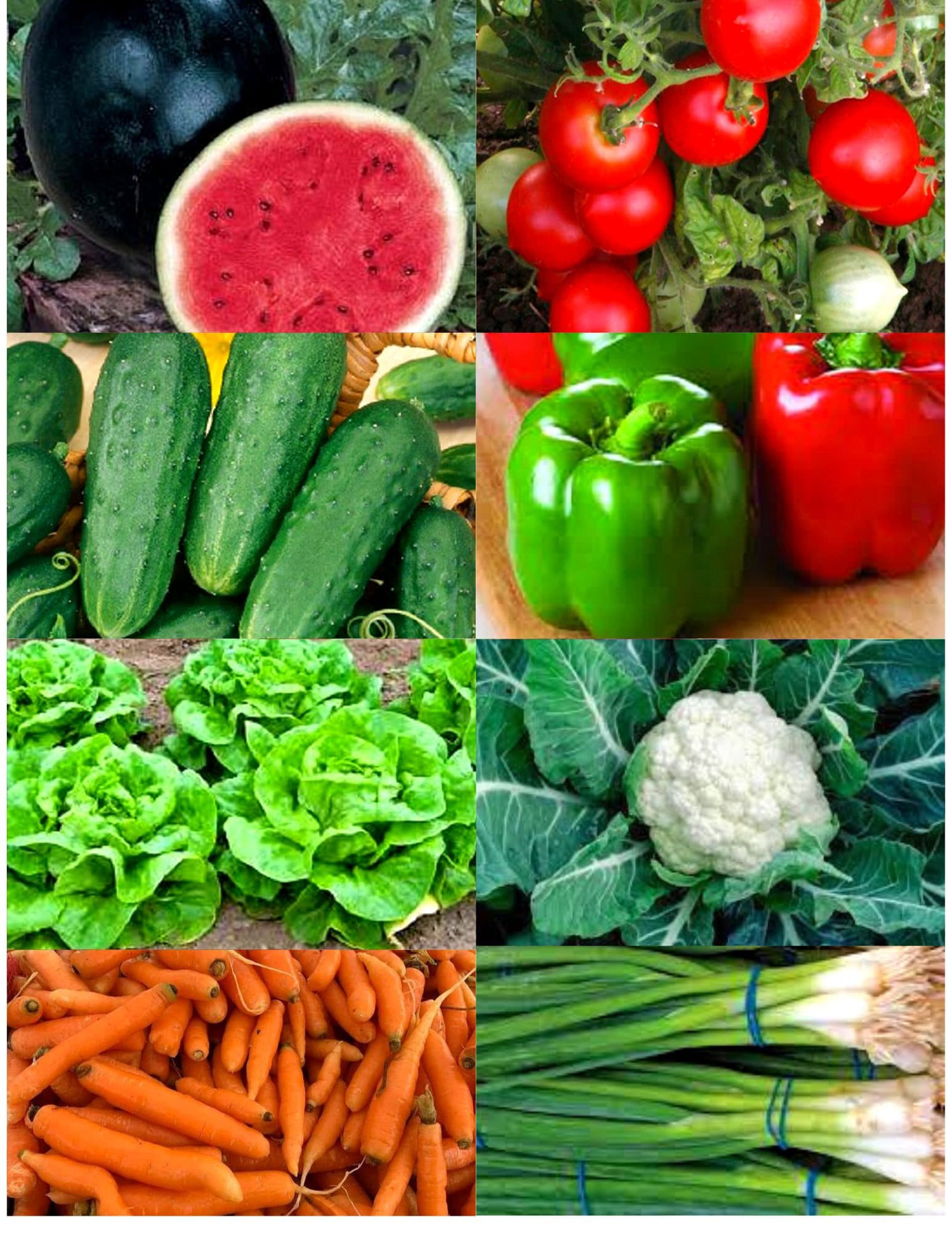 1000 Heirloom Vegetable Seeds 8 Variety Garden Pack 12 - Etsy Canada