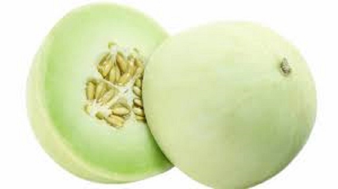 1000+ Heirloom Vegetable Seeds - 10 Variety Garden Pack #4- Organic ...