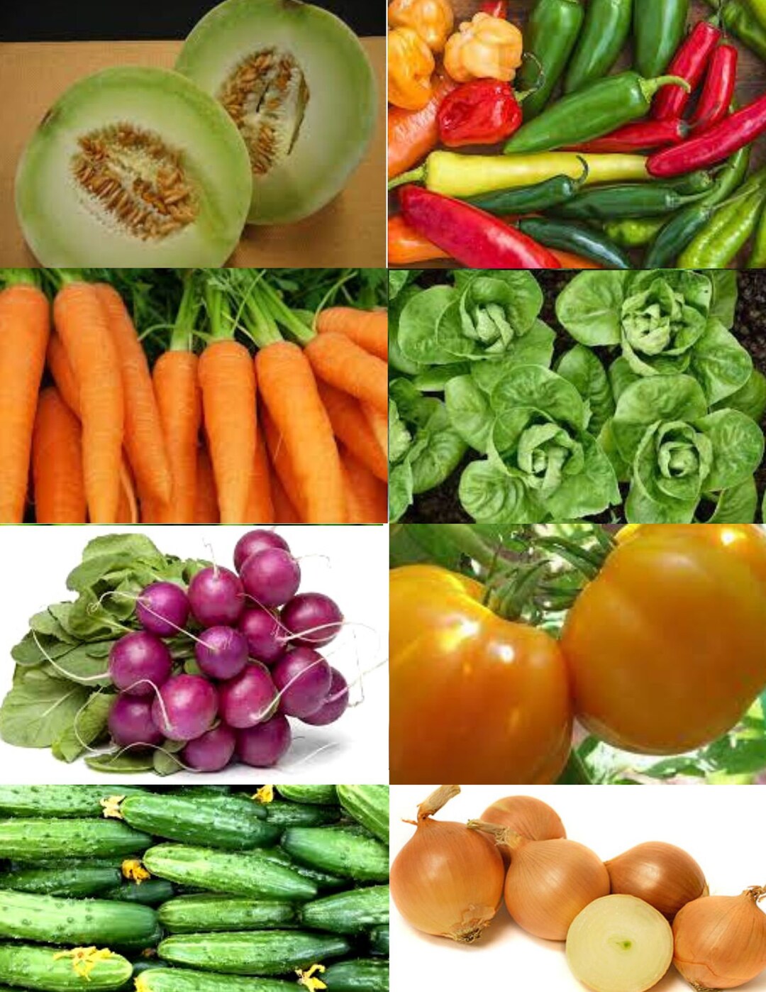 Seeds Vegetable 1000+ Canadian Heirloom Seeds -8 Variety Garden Pack #5 ...