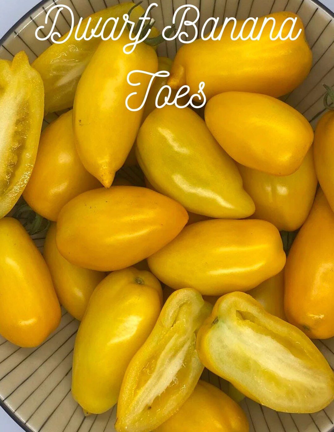 Tomato Seeds Banana Toes Dwarf Perfect for Growing Indoors Year Round ...