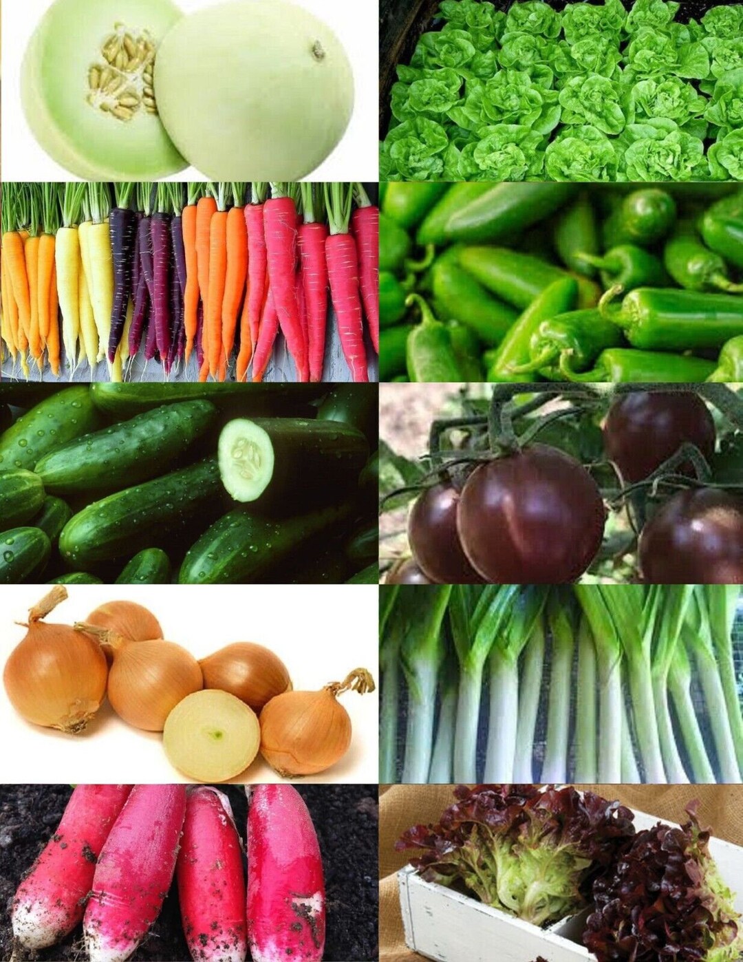 1000+ Heirloom Vegetable Seeds - 10 Variety Garden Pack #4- Organic ...