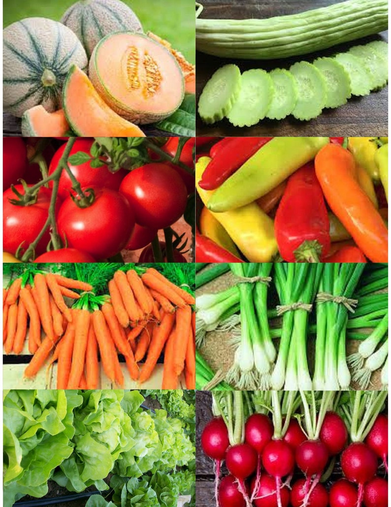 1000+ Heirloom Vegetable Seeds - 8 Variety Garden Pack #7- Organic ...