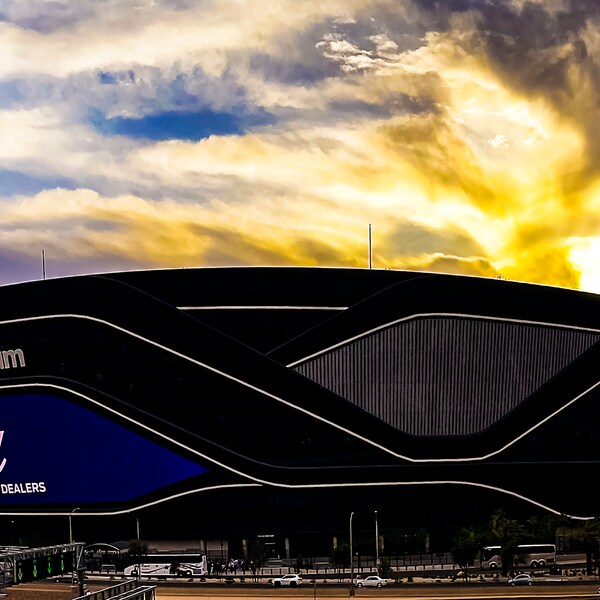 Raiders Wall Art - Etsy