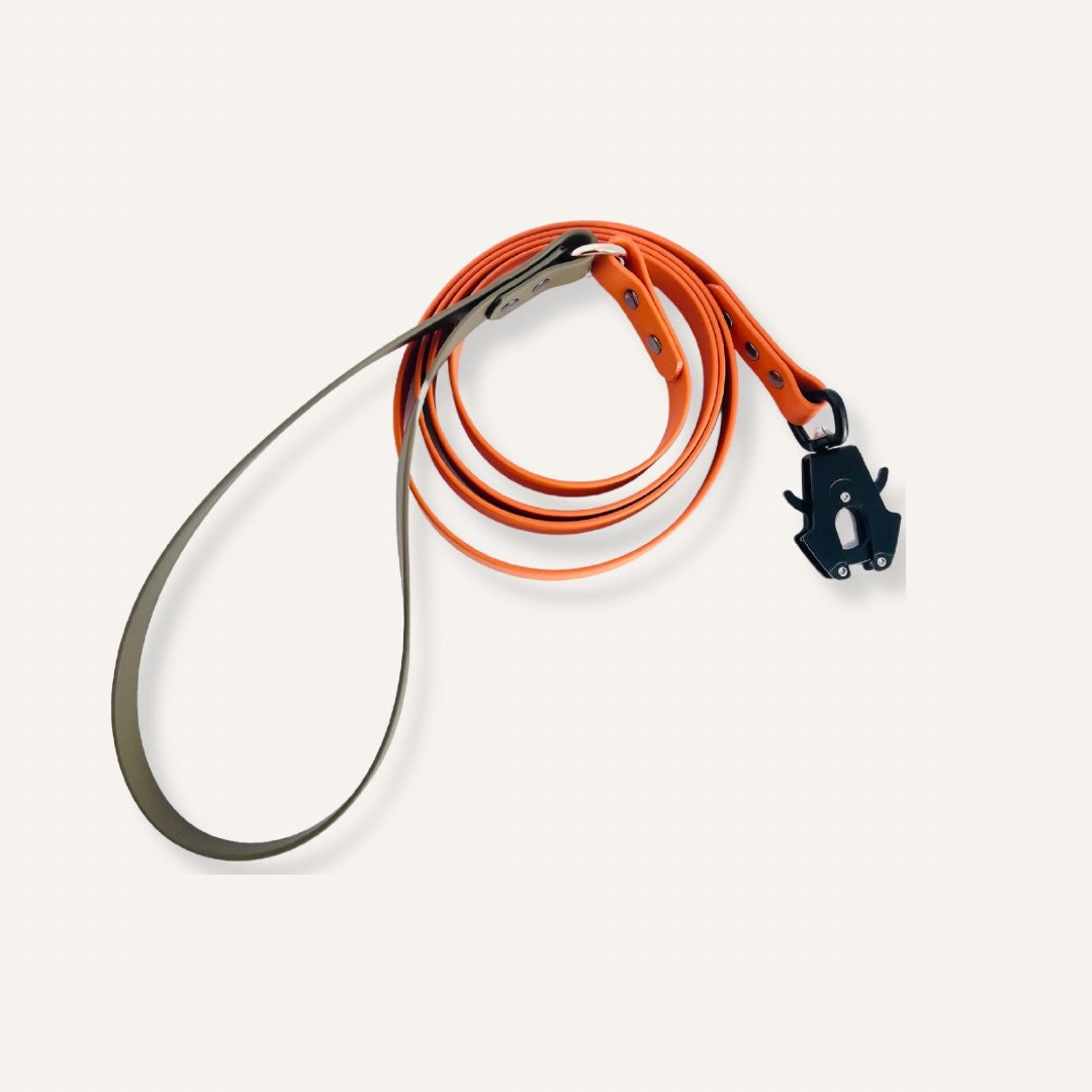 Stylish and Functional for All Weather Custom Biothane Dog Leash for ...