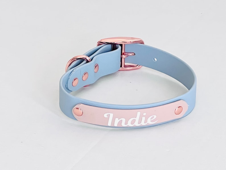 Pastel Blue Waterproof Biothane Matching Dog Collar and Leash Set, Dirt ...