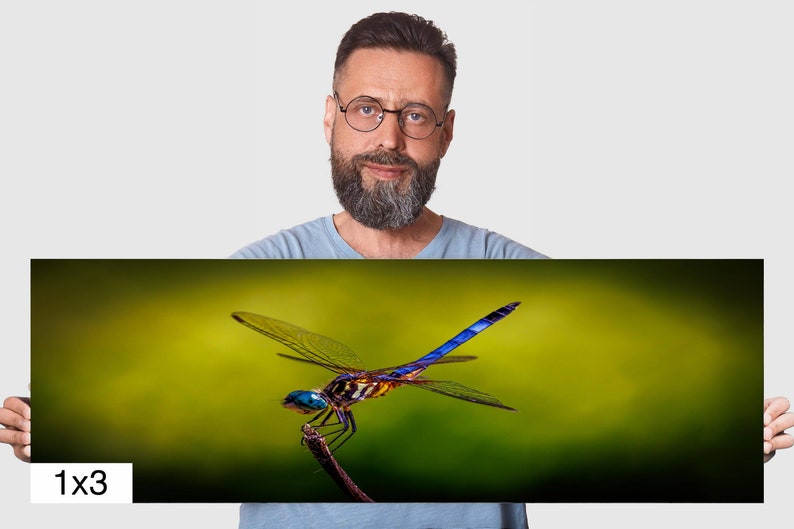 Dragonfly Posing on Twig - Etsy