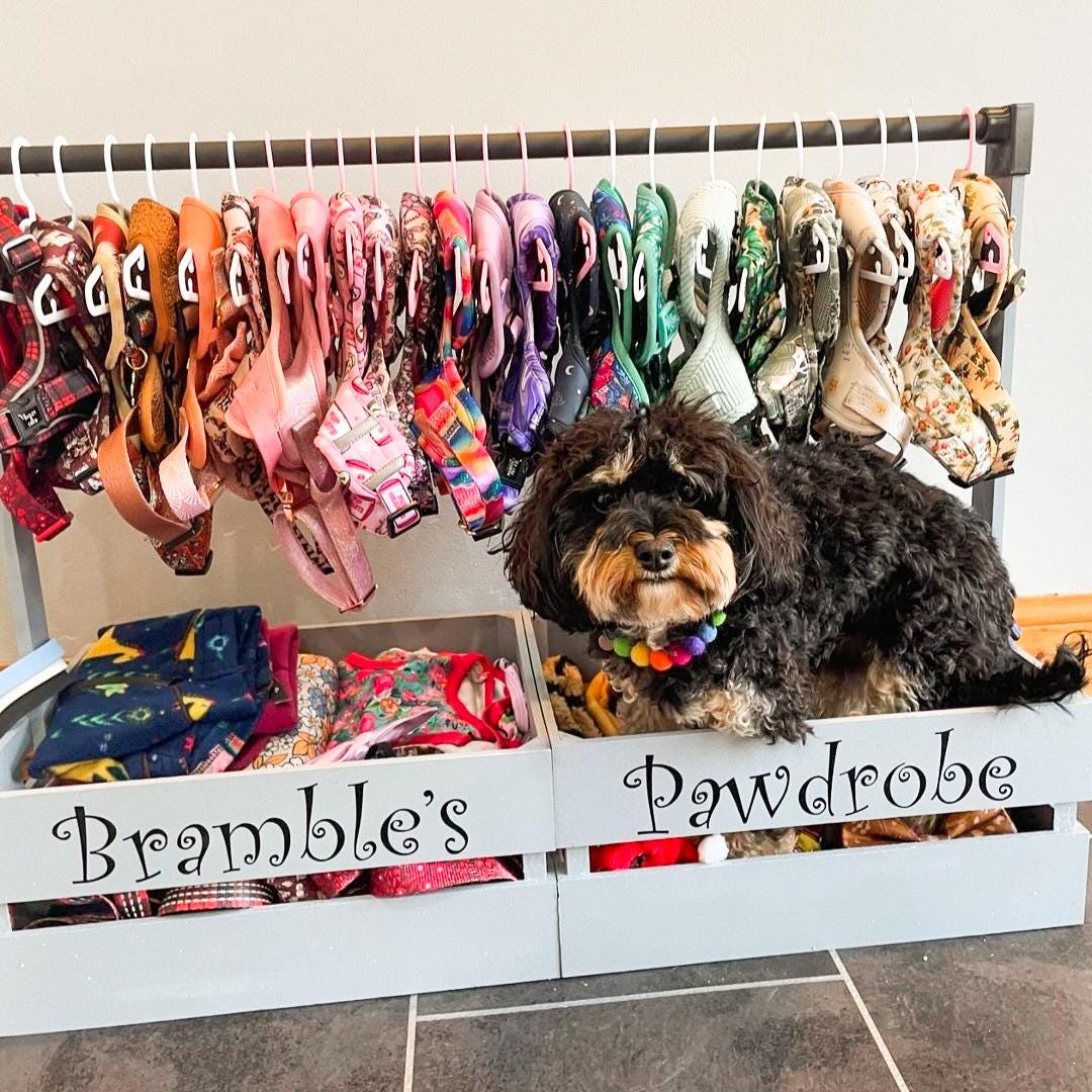 Large Grey Dog Pawdrobe: Wooden Pet Wardrobe, Dog Accessories - Etsy