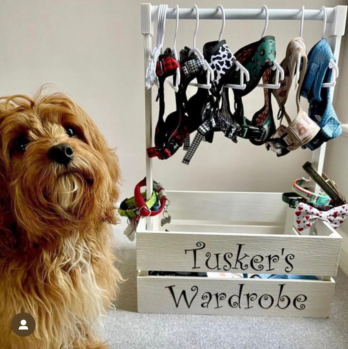 White Dog Wardrobe, Dog Wardrobe, Dog Storage Rail, Wardrobe for Dogs ...