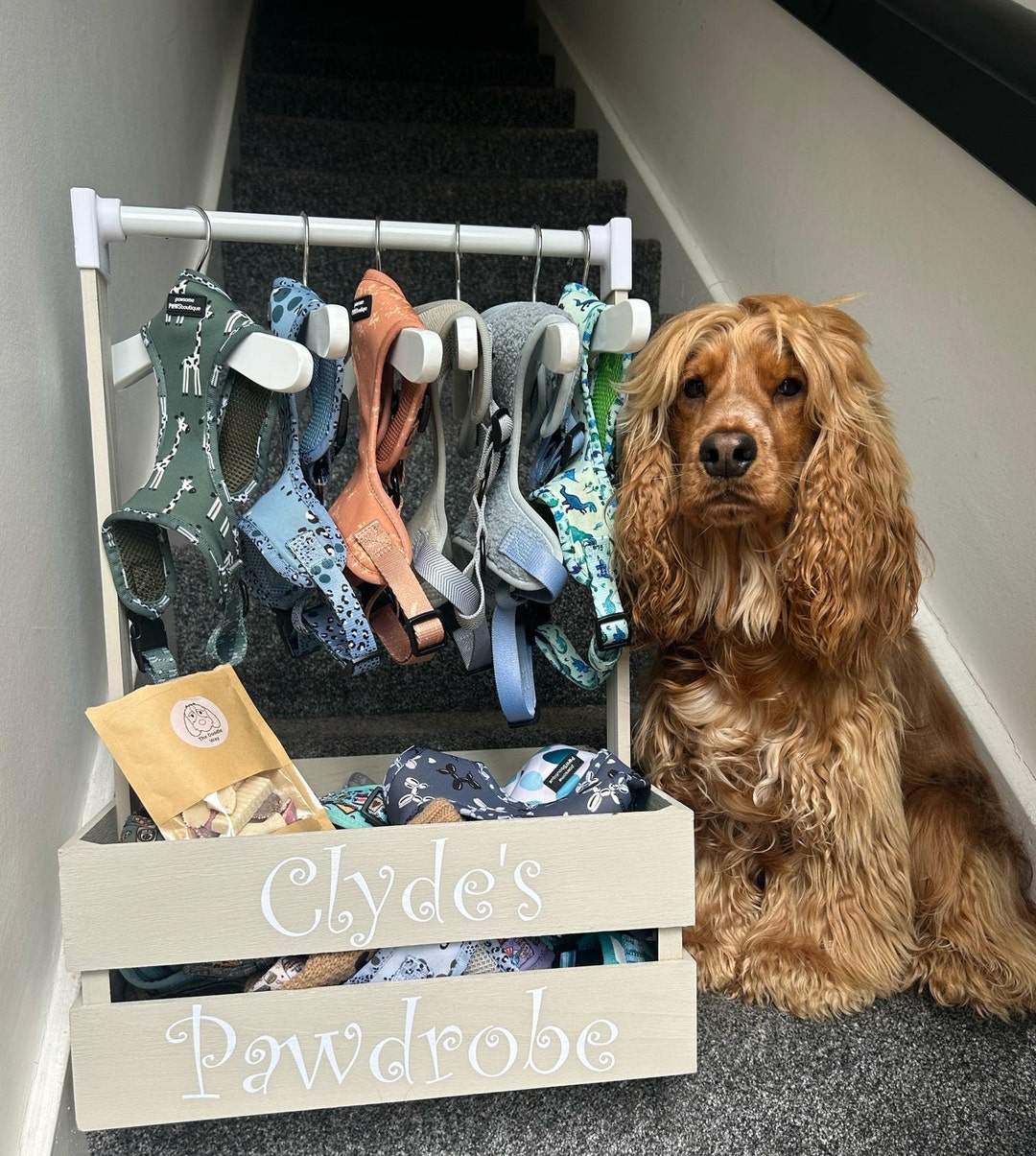 Beige Dog Wardrobe, Dog Harness Storage, Dog Closet, Dog Clothing, Dog ...