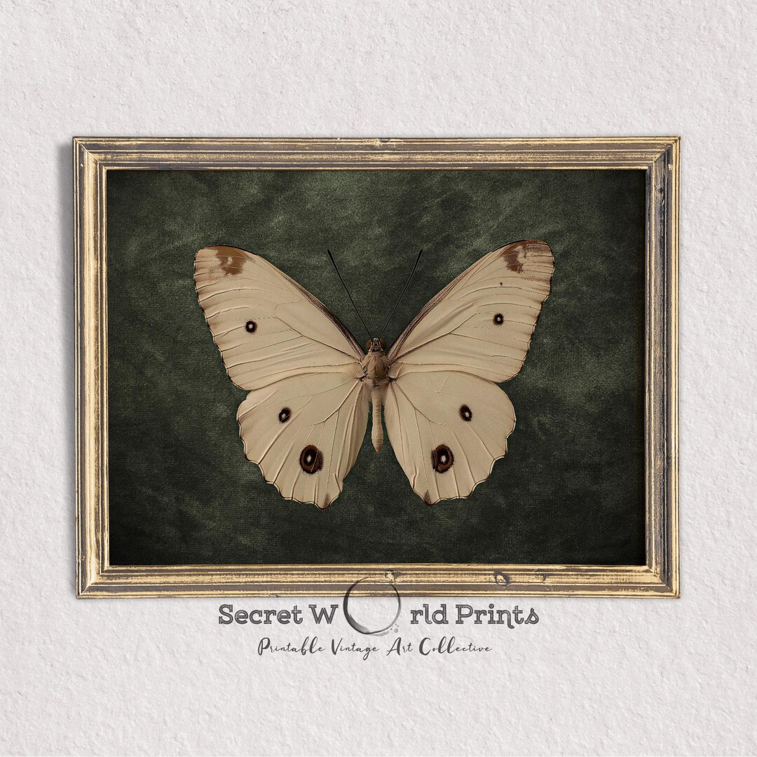 Vintage Butterfly Print: Moody Cottagecore Wall Art (digital Download ...