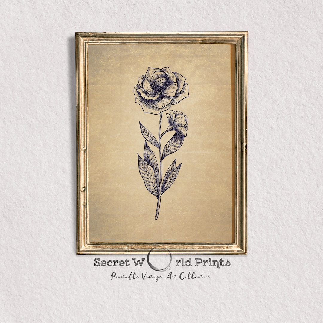 Vintage Rose Sketch Printable | Botanical Wall Art | Antique Floral ...