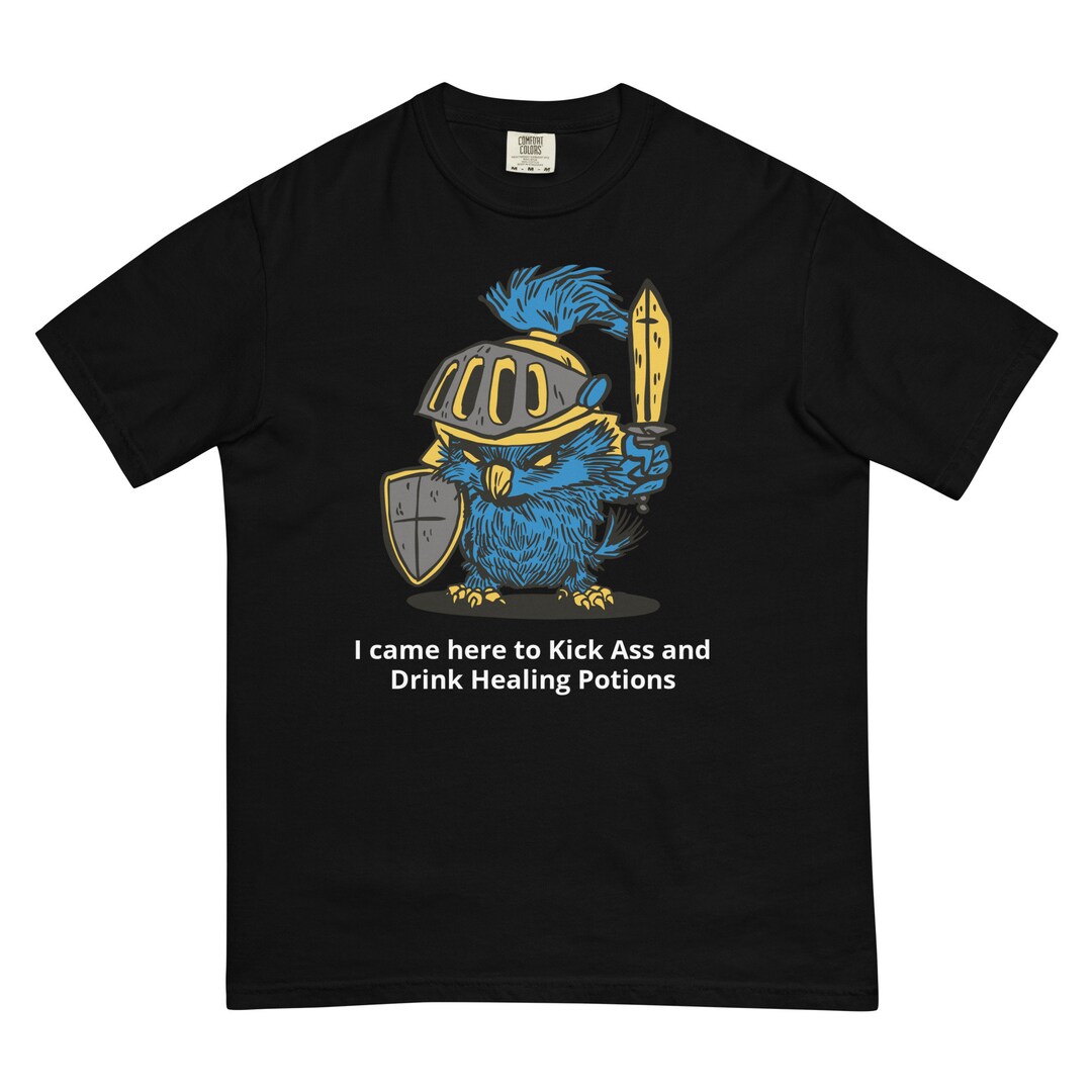 Owl Knight - I Came Here to Kick Ass and Drink Healing Potions T-shirt ...