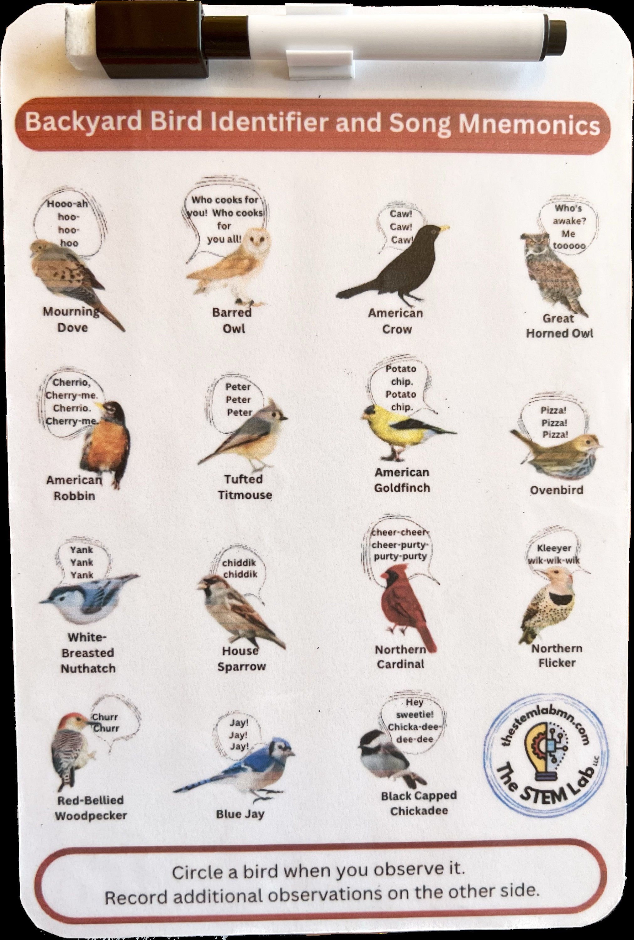 Montessori Backyard Bird Mnemonics, Birding for Kids, Craft Kit for ...