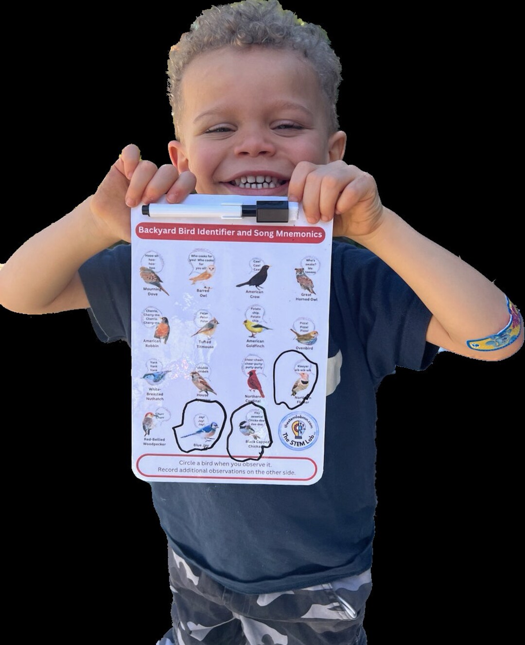 Montessori Backyard Bird Mnemonics Birding for Kids Craft - Etsy Australia