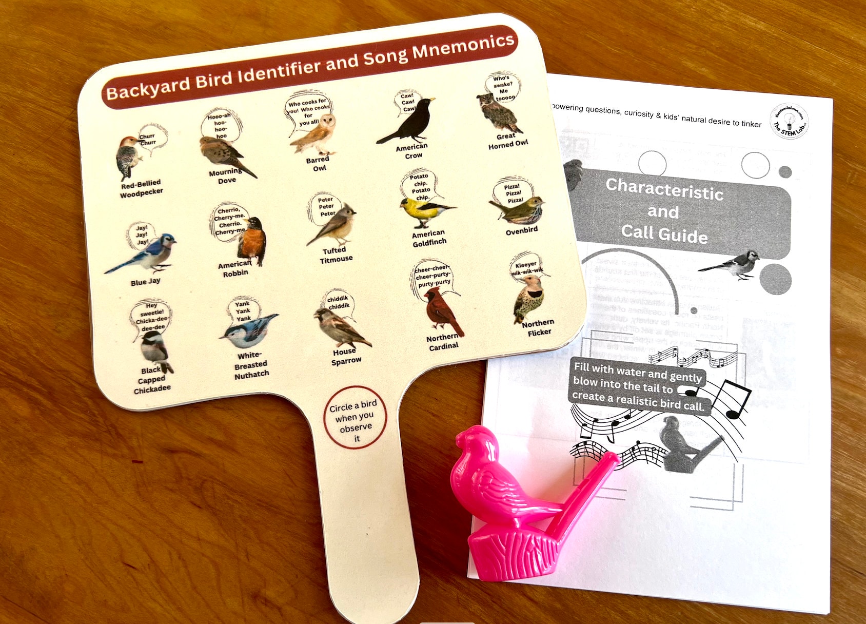 Backyard Birding Kit, Birds for Kids, Mother's Day, STEM, Gift for Kids ...
