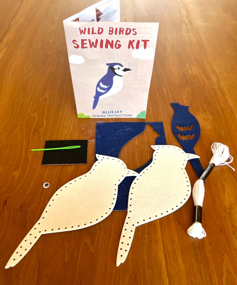Backyard Birding Kit, Birds for Kids, Mother's Day, STEM, Gift for Kids ...