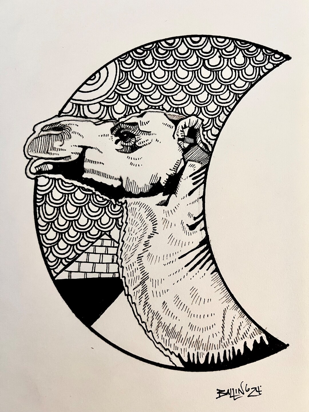 Hump Day Print - Etsy