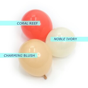 Sunset DIY Balloon Arch Garland Kit: Coral Peach Ivory Party Decor - Etsy