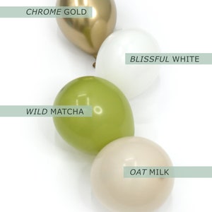 Matcha Latte DIY Balloon Arch Garland Kit | Eucalyptus Willow Sage ...
