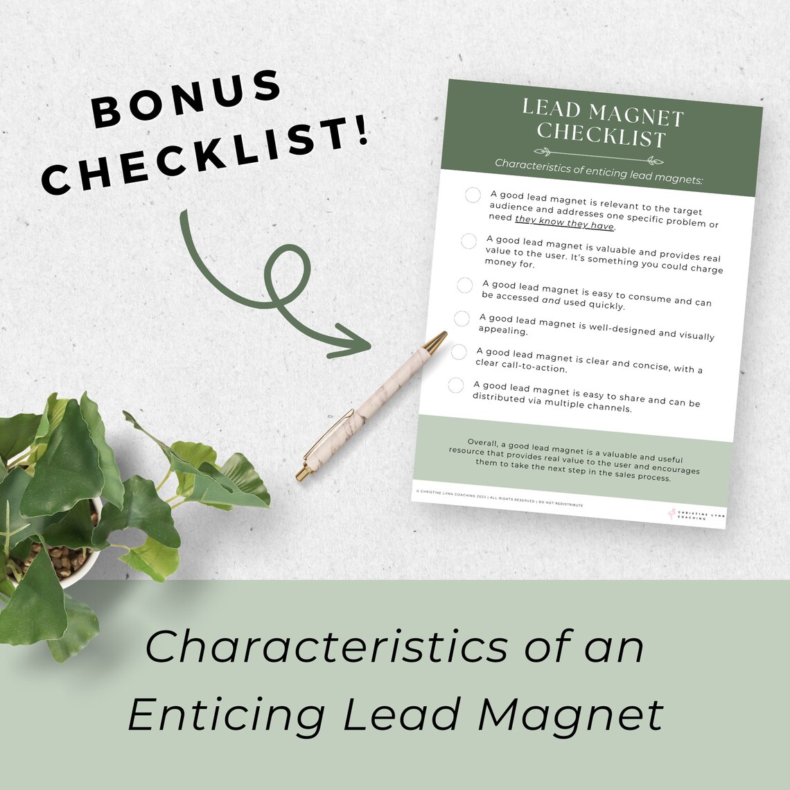 Editable Canva Lead Magnet Template Set for PDF Workbook, Ebook ...