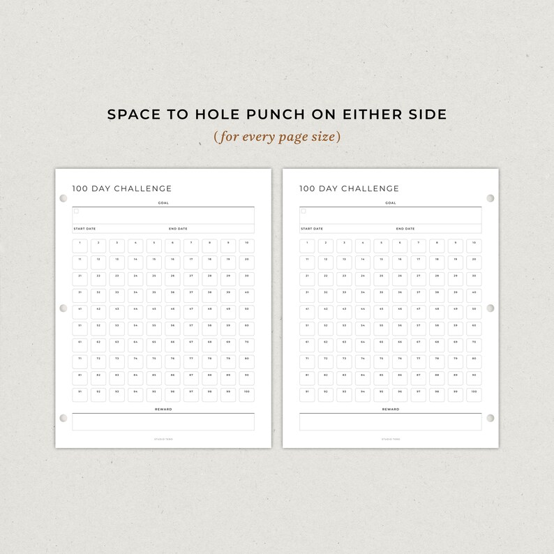 100 Day Challenge, Action Plan, Goal Setting, Habit Forming, Goal ...