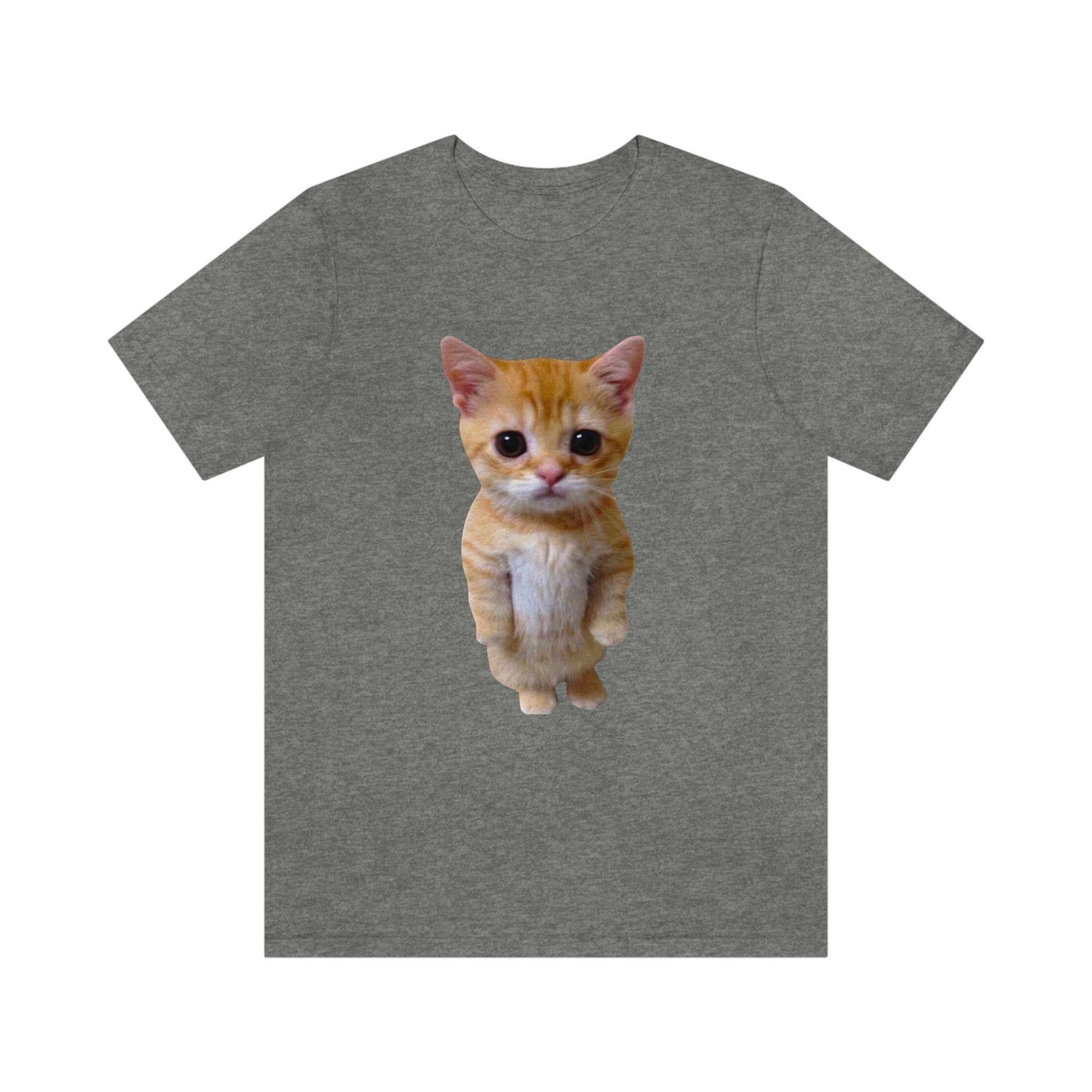 El Gato Meme Sad Crying Cat Munchkin Kitty Meme Trendy - Etsy