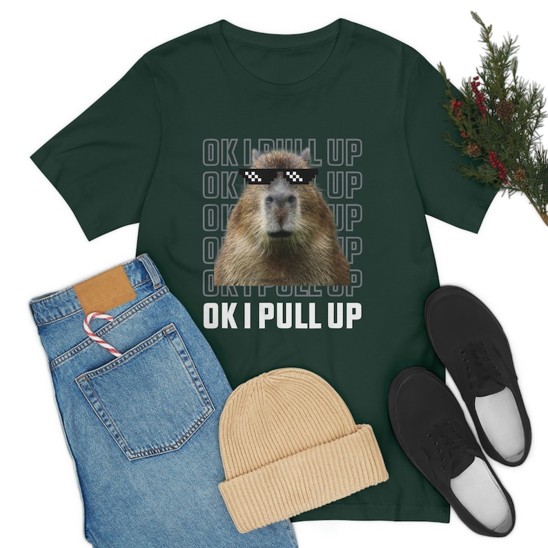 OK I Pull up Capybara Funny Meme T Shirt Ok I Pull up ,capybara ...