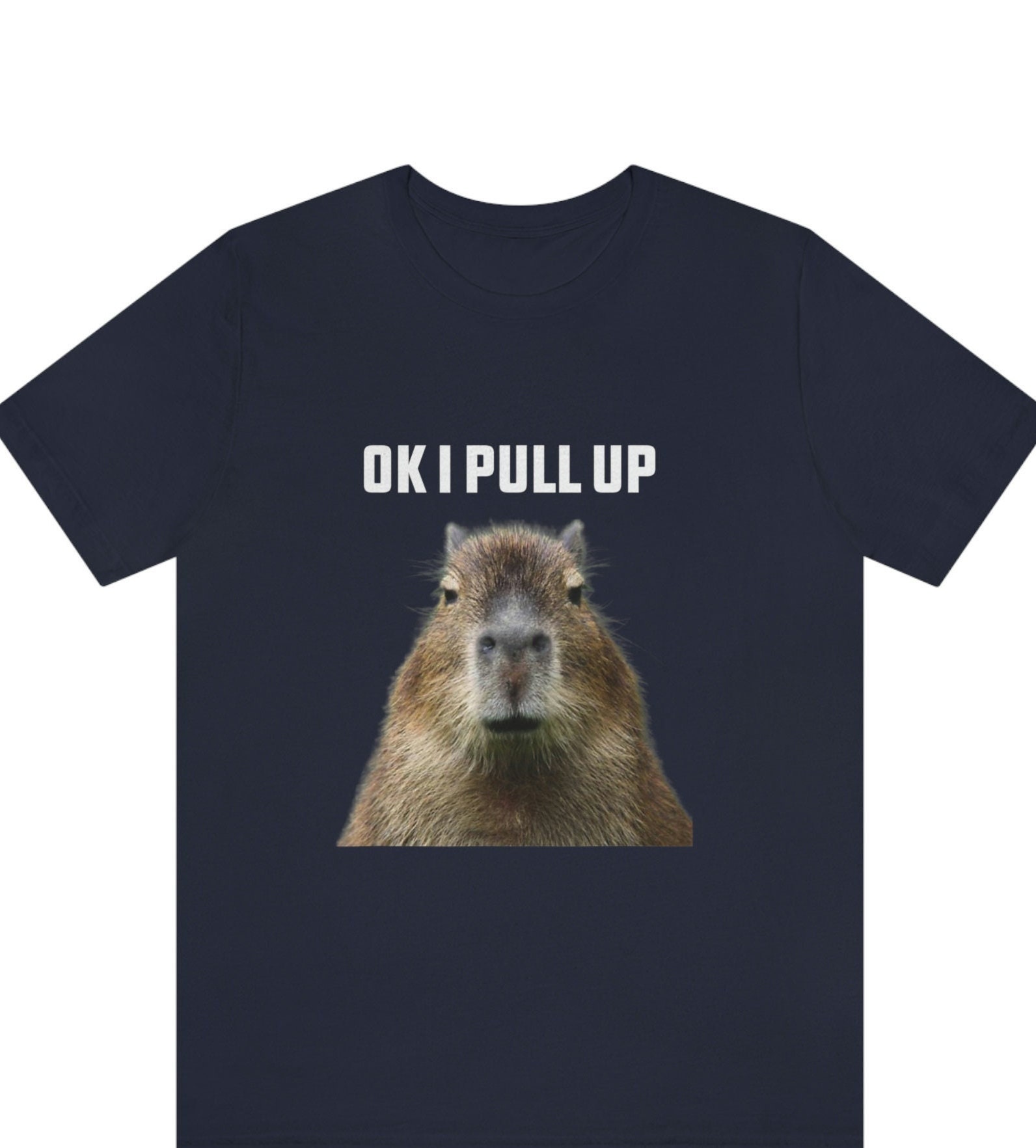 Ok I Pull up Capybara Sarcastic Dank Meme Quote Funny Meme T-shirt , Ok ...