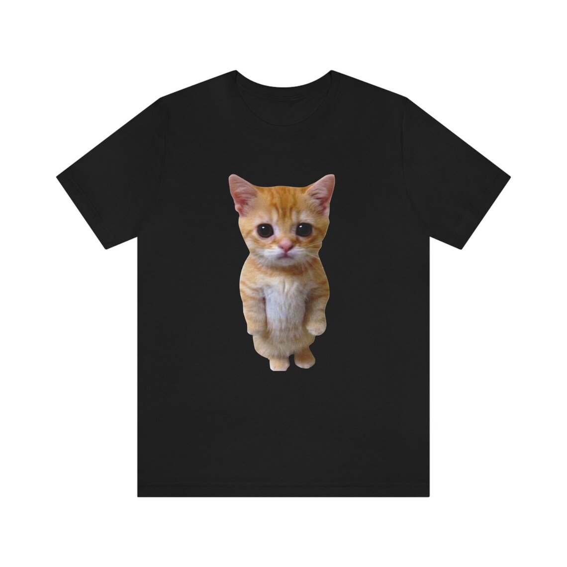 El Gato Meme Sad Crying Cat Munchkin Kitty Meme Trendy - Etsy