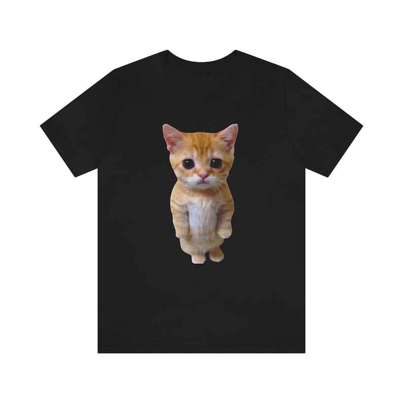El Gato Meme Sad Crying Cat Munchkin Kitty Meme Trendy - Etsy