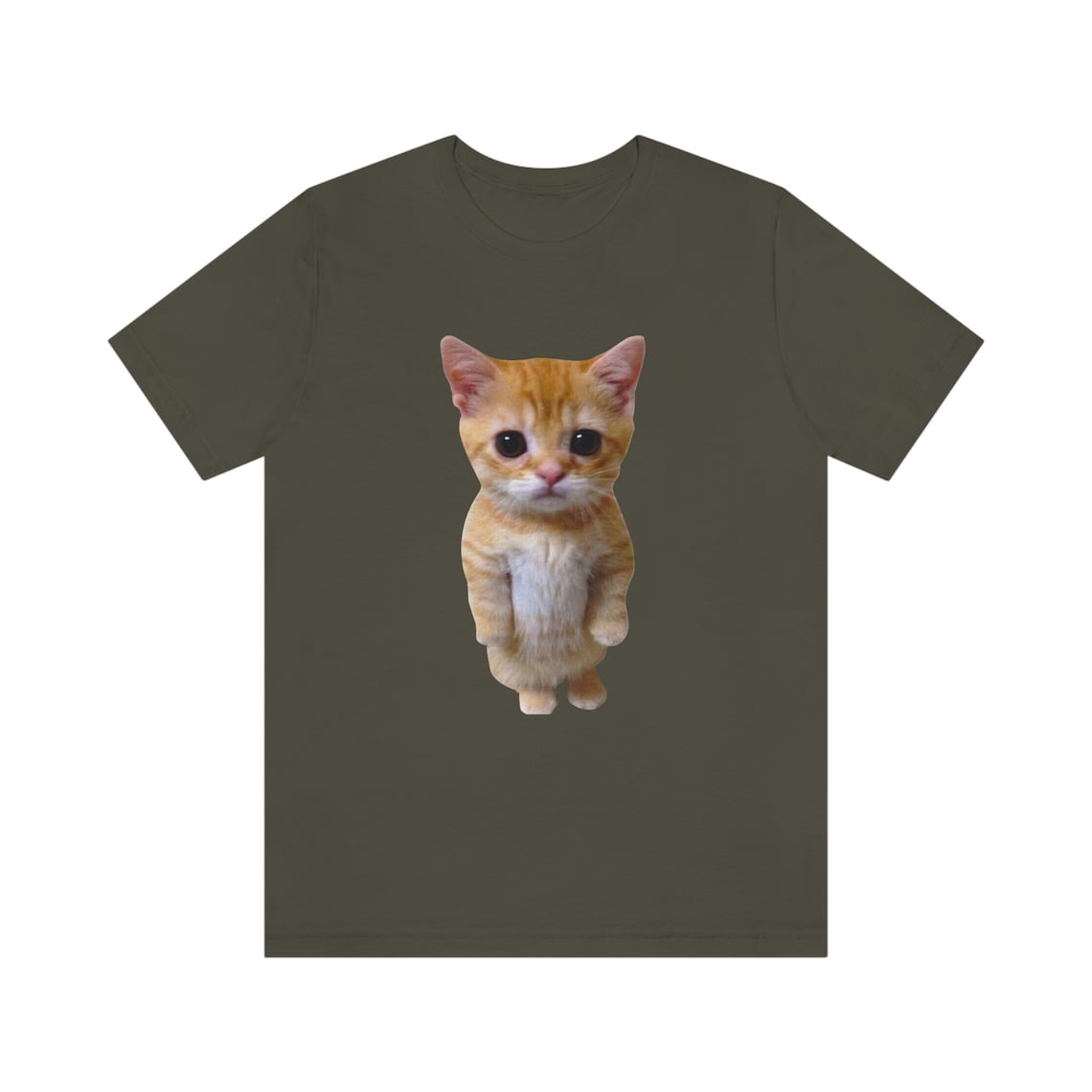 El Gato Meme Sad Crying Cat Munchkin Kitty Meme Trendy - Etsy