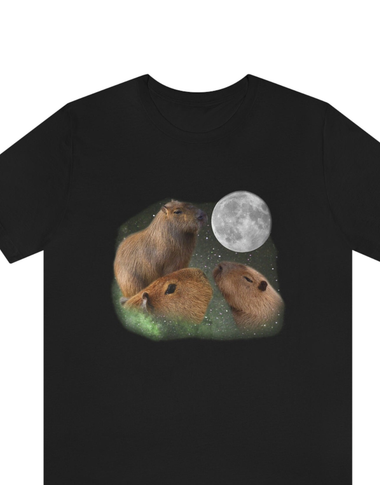 Three Moon Capybaras Shirt Capybara Capybara Shirt - Etsy