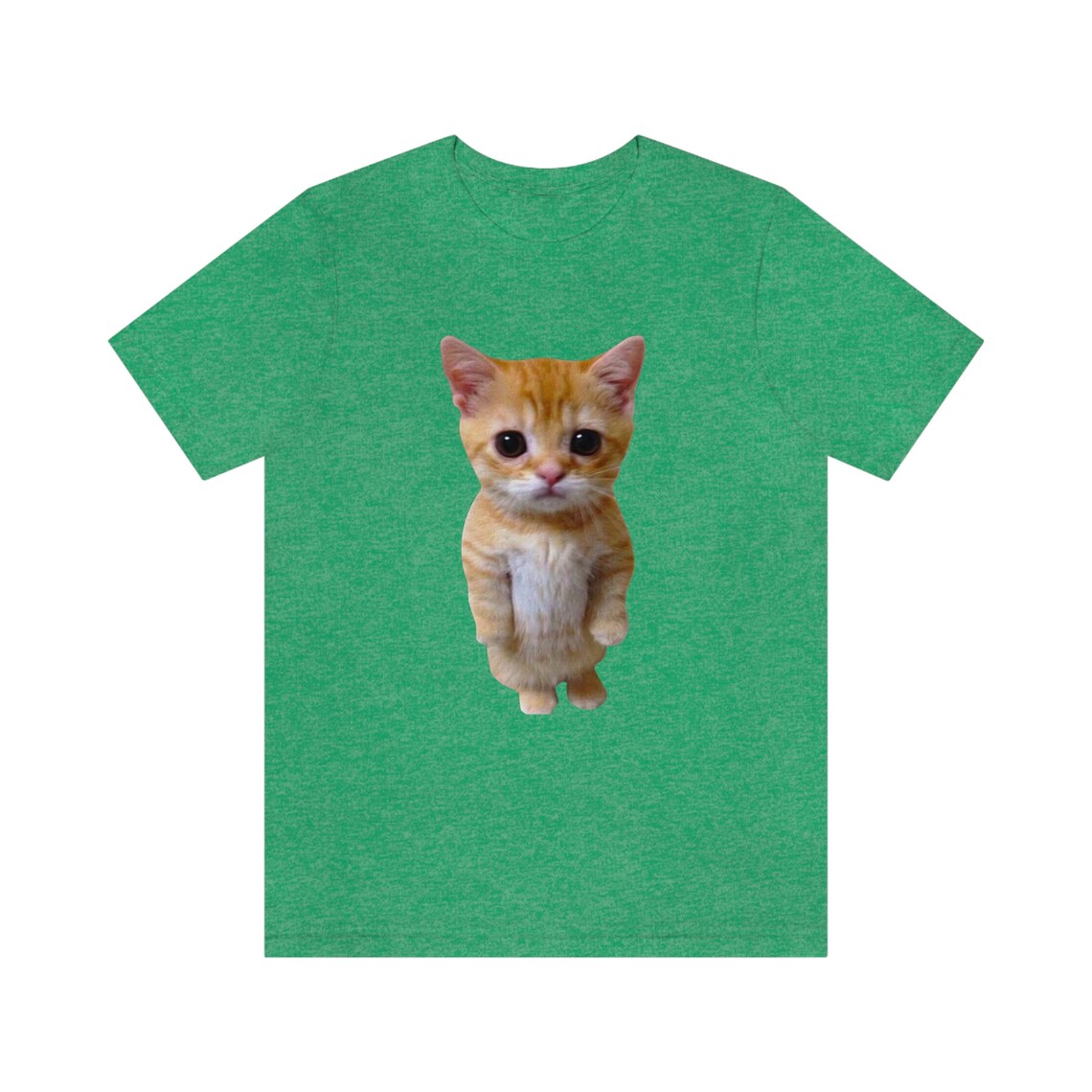 El Gato Meme Sad Crying Cat Munchkin Kitty Meme Trendy - Etsy