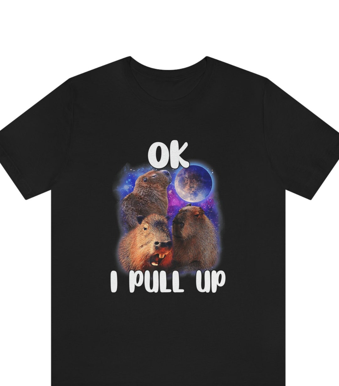 OK I Pull up Capybara Funny Shirt Ok I Pull up , Three Capybara Moon ...