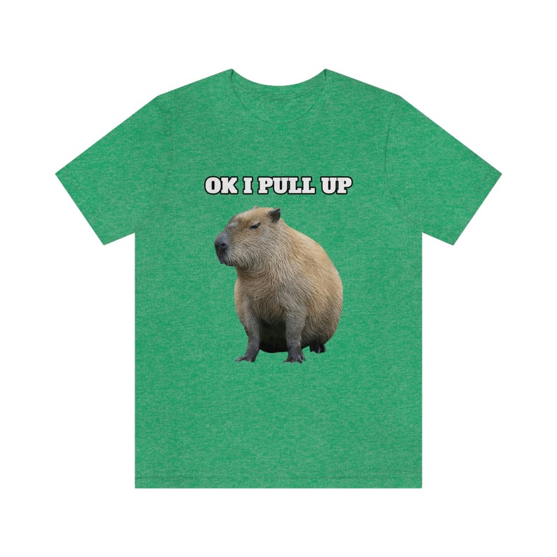 OK I Pull up Capybara Funny Meme T Shirt Ok I Pull up ,capybara ...