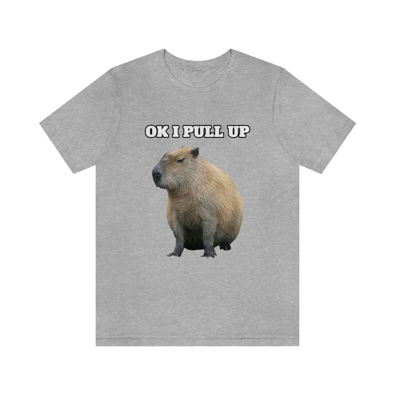 OK I Pull up Capybara Funny Meme T Shirt Ok I Pull up ,capybara ...