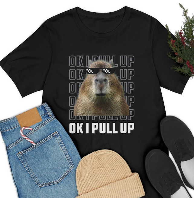 Ok I Pull up Meme - Etsy