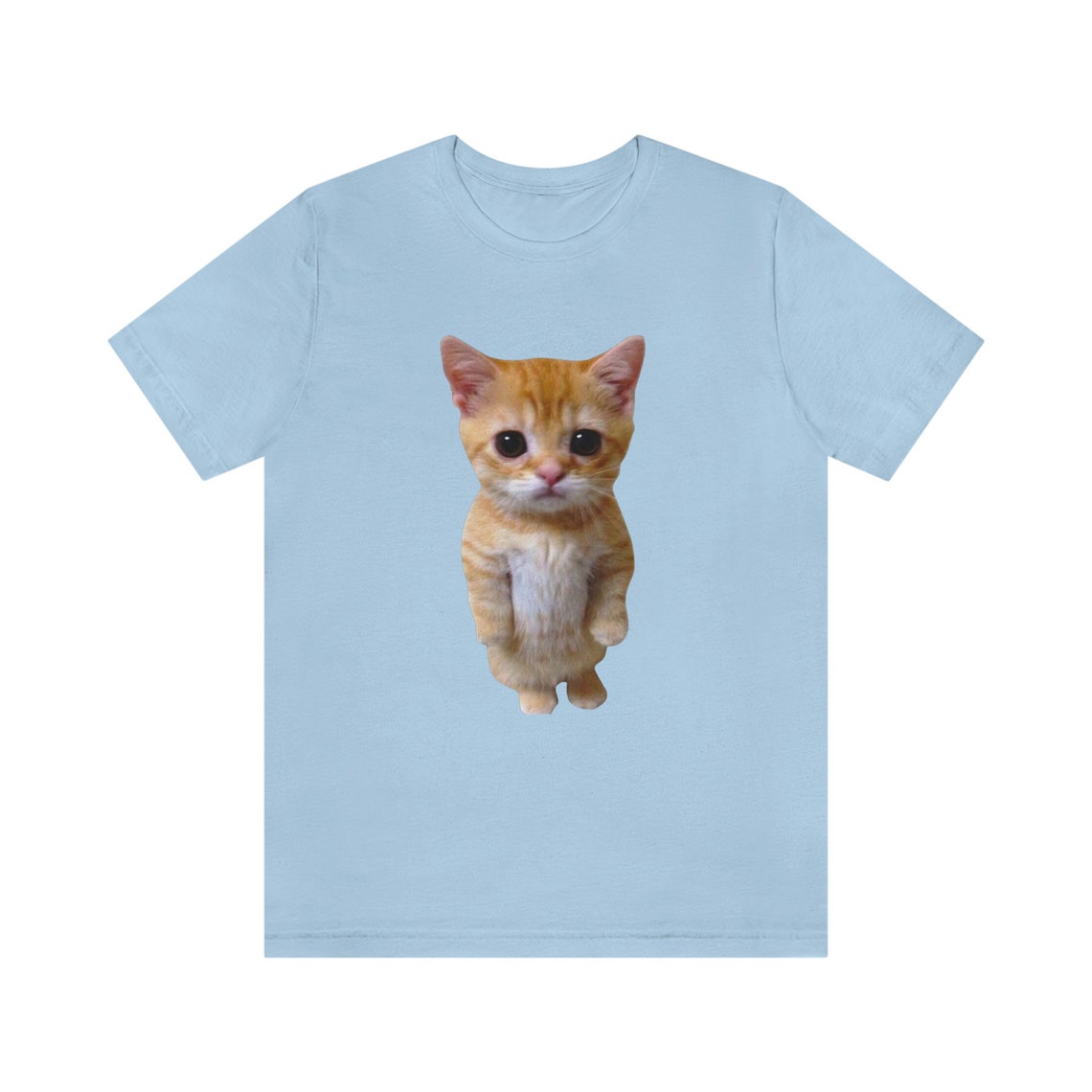 El Gato Meme Sad Crying Cat Munchkin Kitty Meme Trendy - Etsy