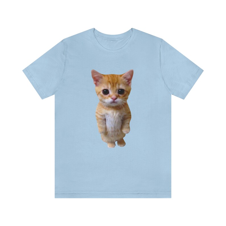El Gato Meme Sad Crying Cat Munchkin Kitty Meme Trendy - Etsy