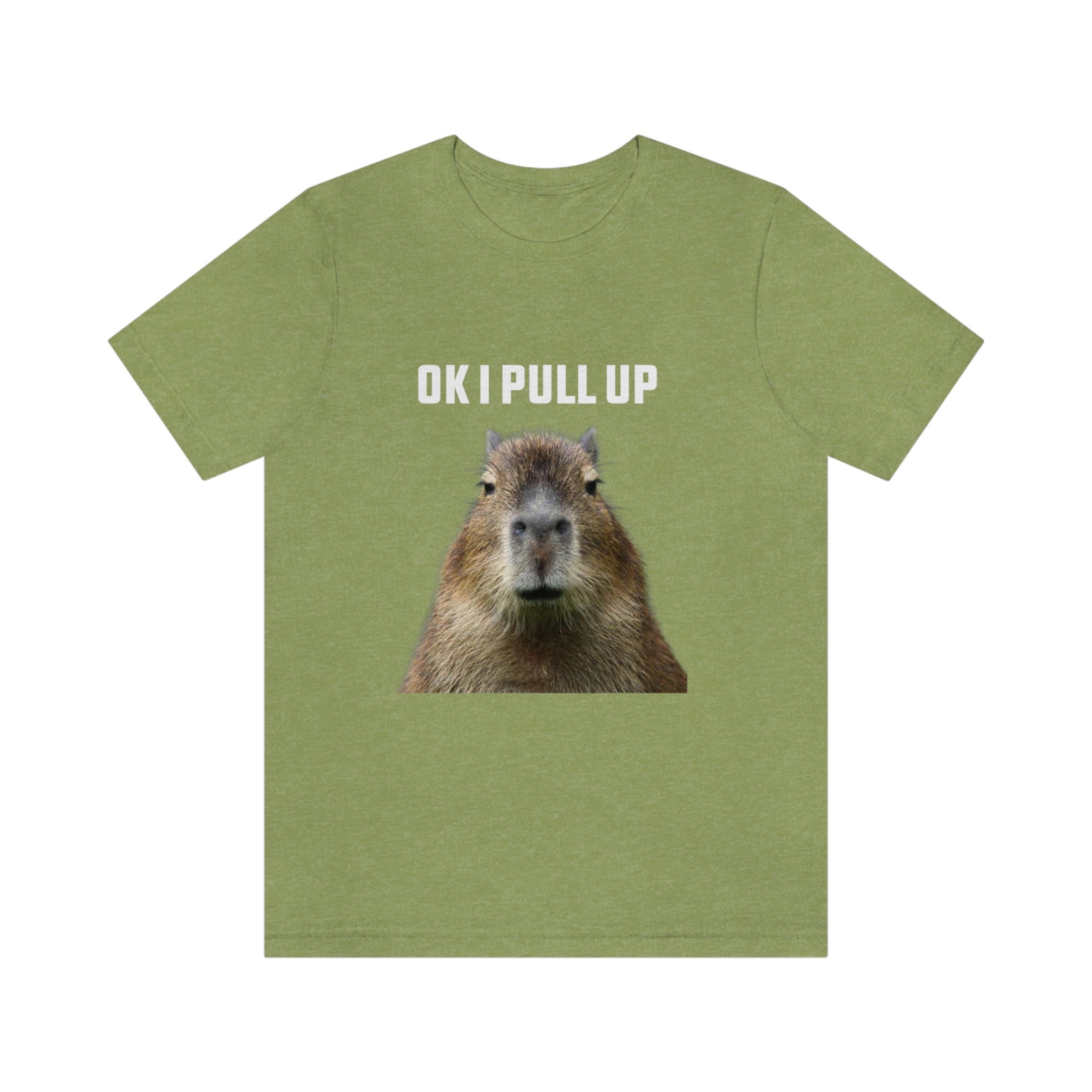 Ok I Pull up Capybara Sarcastic Dank Meme Quote Funny Meme T-shirt , Ok ...
