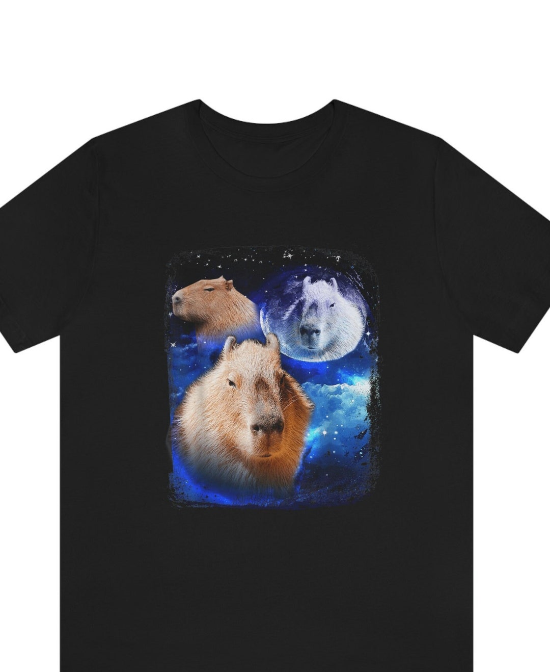 Three Moon Capybaras Shirt Capybara, Capybara Shirt, Capybara T-shirt ...